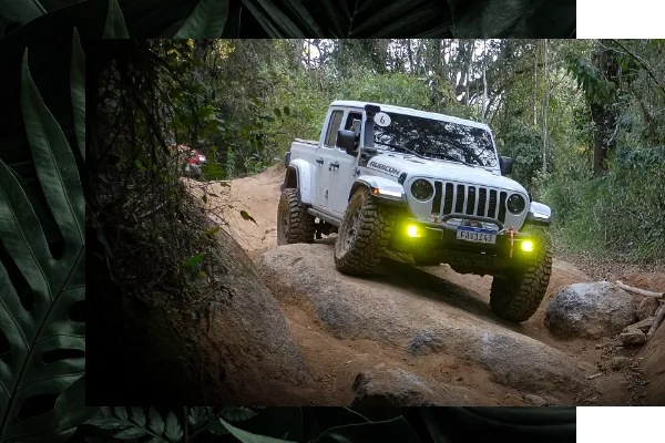 Jeep Nature | Jeep