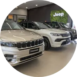 Conheça todos os Serviços Jeep